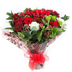 Merry Christmas Alison’s Florist Dawlish
